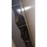 SamGamerYT | Website